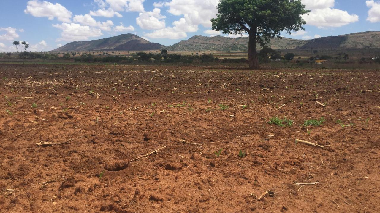 Policy Brief: A Minimum Quality Standard (MQS) to Ensure Index Insurance Contracts Do No Harm ...